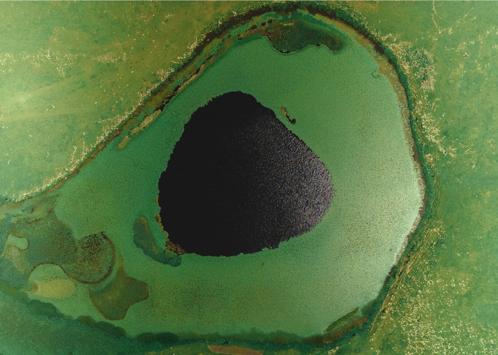 Stepanavan